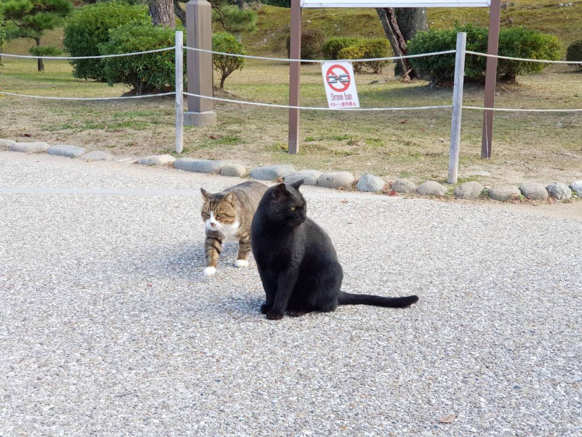 Contact Me – BigData RPG